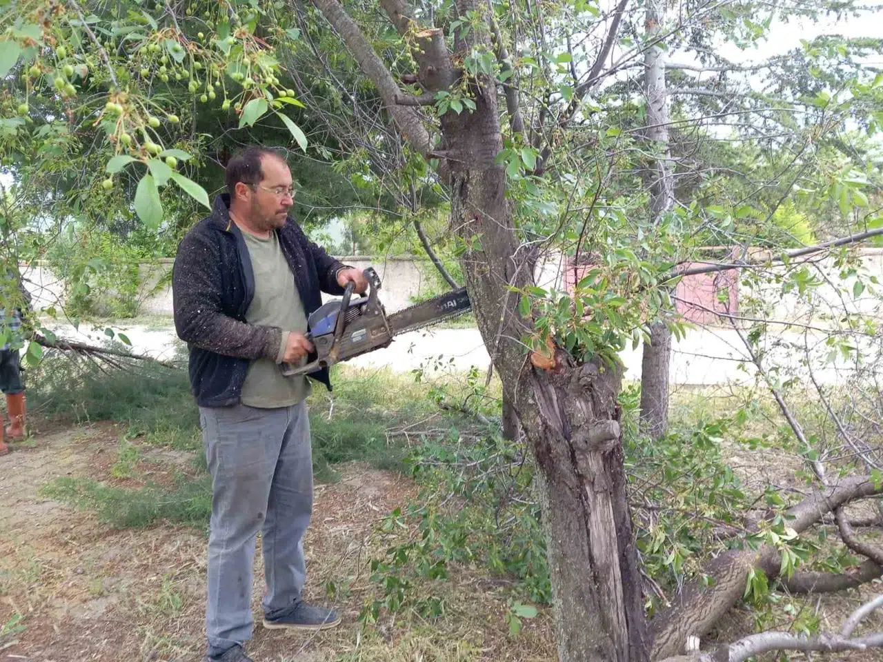 Emirdağ’ın yeşil dönüşümü: Muhtar Ali Ün köyünü ormana çeviriyor - Yeni ...