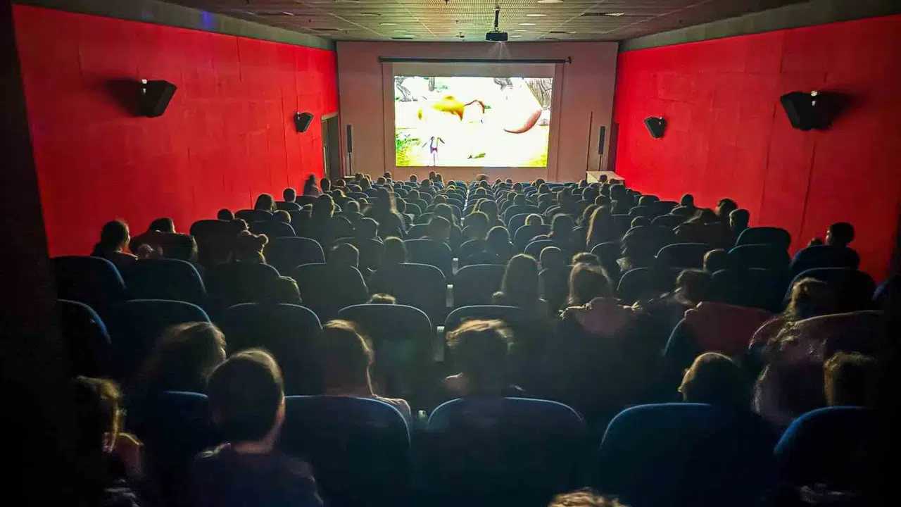 Aydın beyazperdede yerli yapımı tercih etti: 250 bini aşkın izleyici ...
